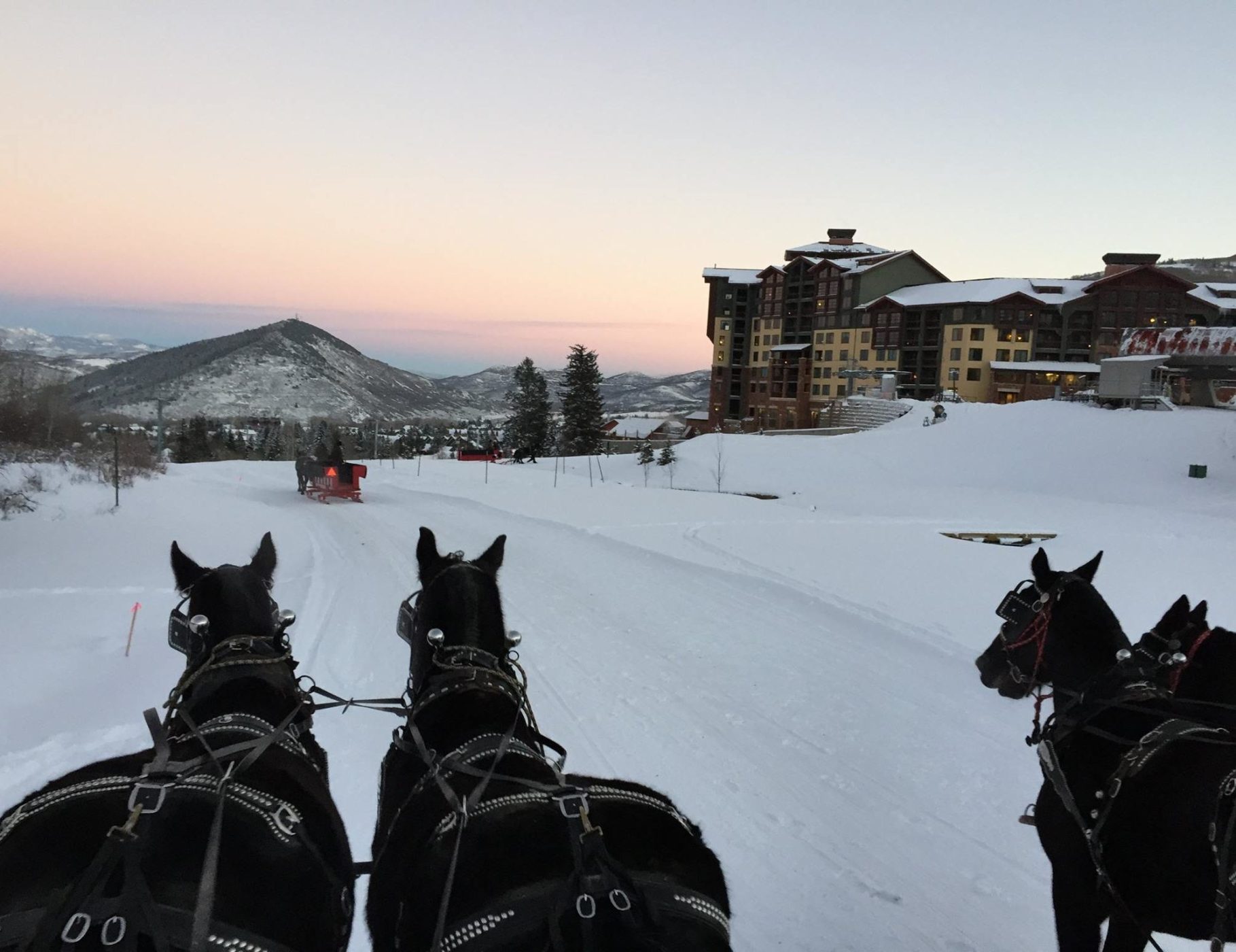 Park City Sleigh Rides | Horse-Drawn Sleigh Ride Park City, Utah