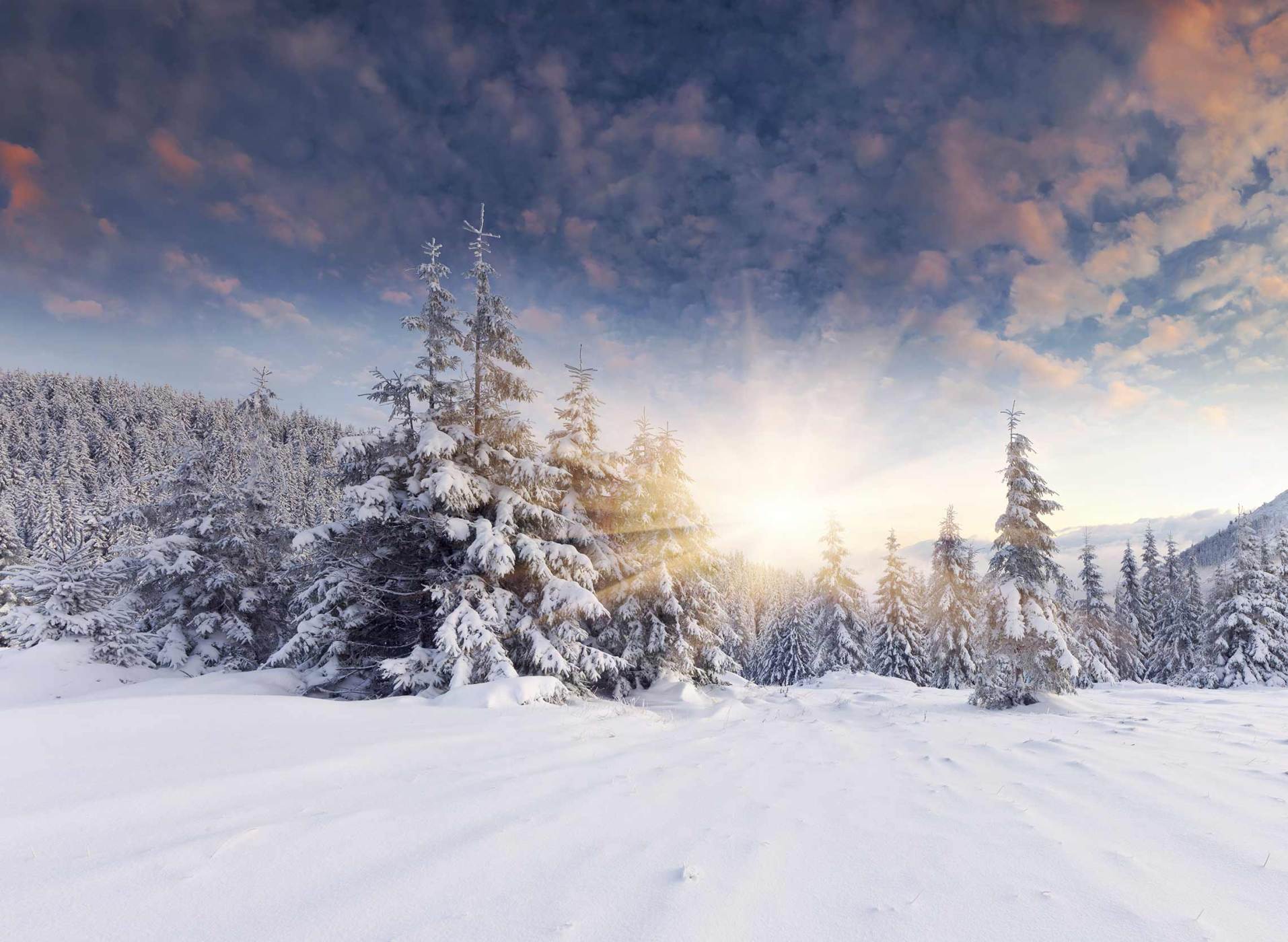 Private Sleigh Rides | Park City Sleigh Rides