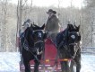 Park City Sleigh Rides | Horse-Drawn Sleigh Ride Park City, Utah
