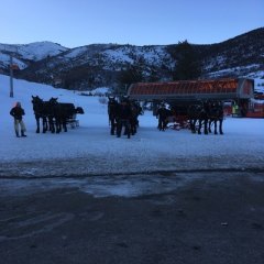 Gallery | Park City Sleigh Rides